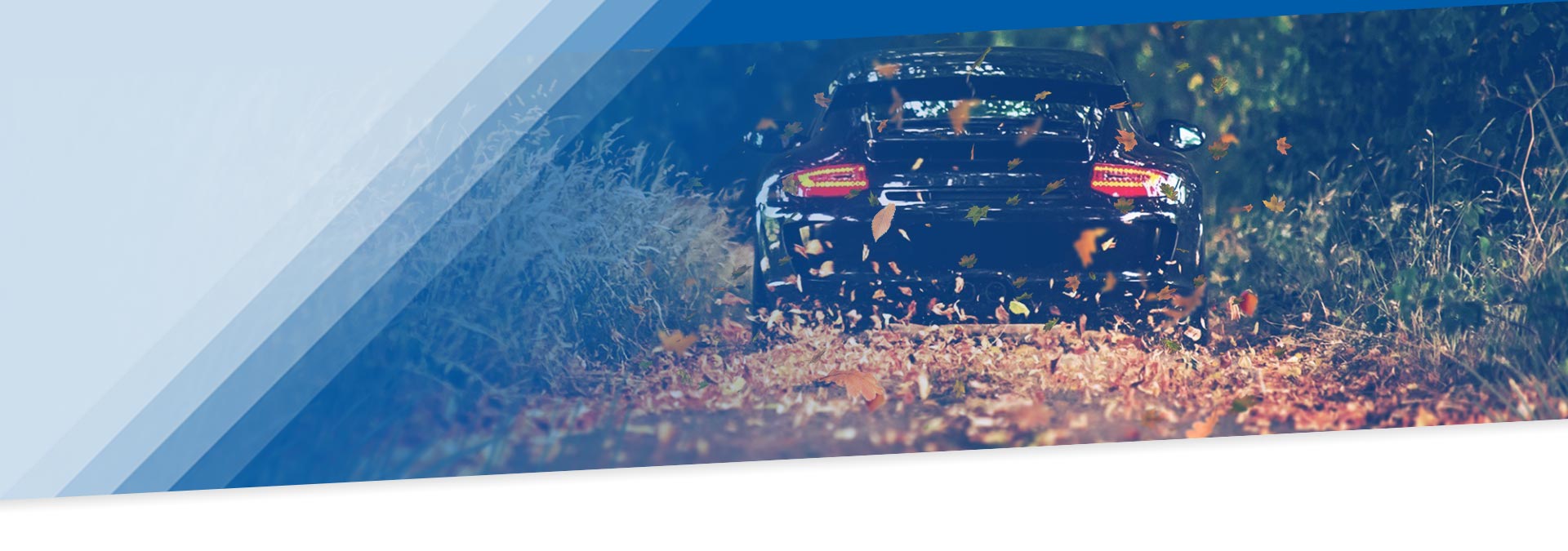 Performance Clutch & Suspension | ZF SACHS Performance